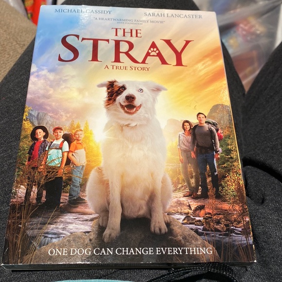 Universal | Media | The Stray Movie A True Story Dvd Brand New | Poshmark